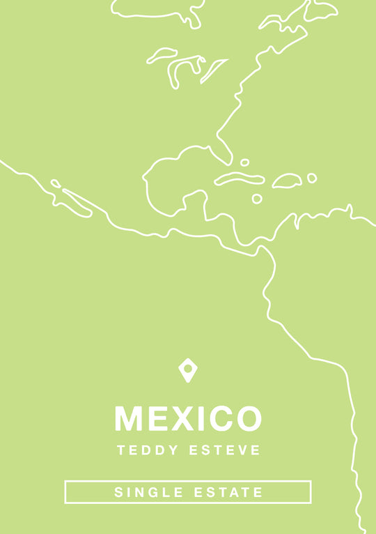 Showcase Origins – White Horse Coffee